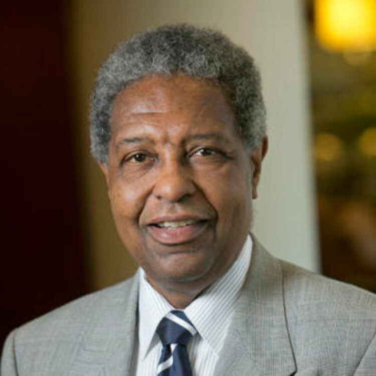 Resurrecting the Promise of 40 Acres: The Imperative of Reparations for ...