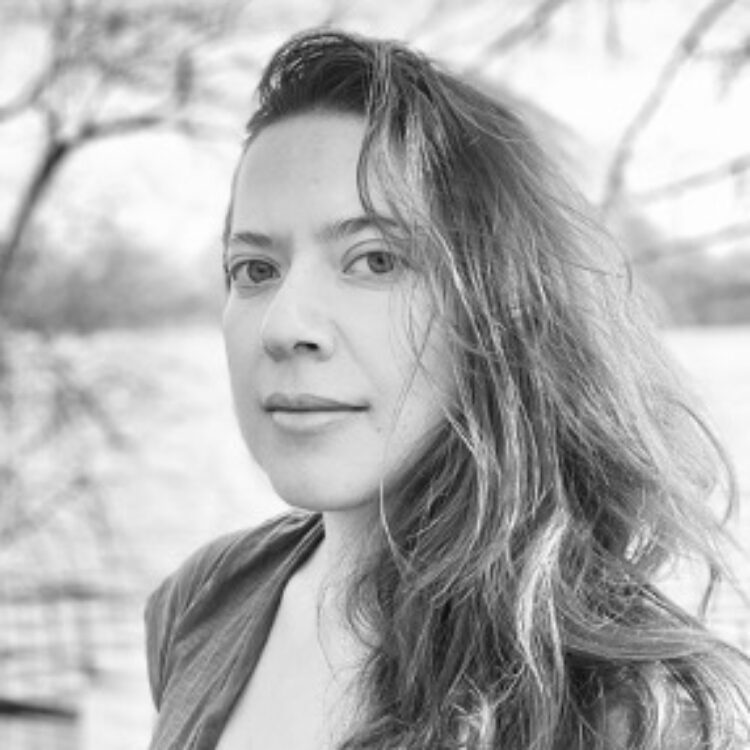 Planning to Build Faster: A Solar Energy Case Study - Roosevelt Institute