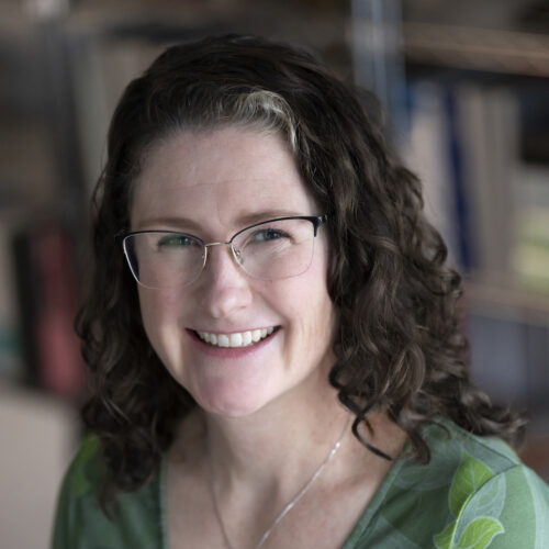 Meredith MacKenzie de Silva - Roosevelt Institute