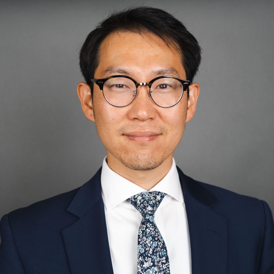 The Political Economy of Steel Decarbonization: Prospects and ...