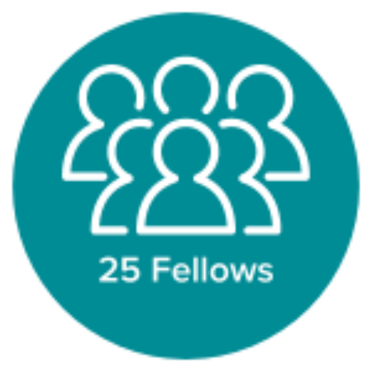 Forge Fellowship - Roosevelt Institute
