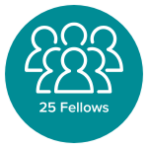 Emerging Fellowship - Roosevelt Institute